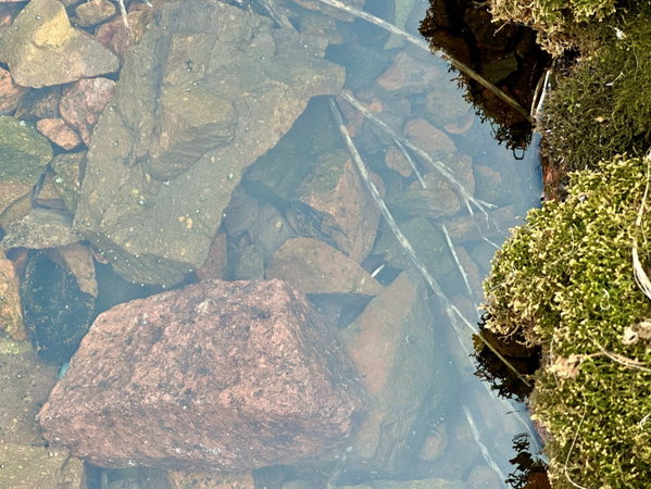 Pin Well In Wooler - Fabulous North