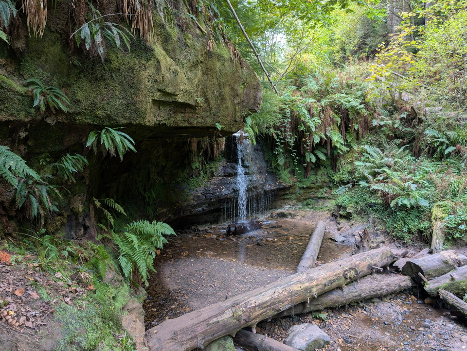 Maspie Den Waterfall In Fife - Fabulous North