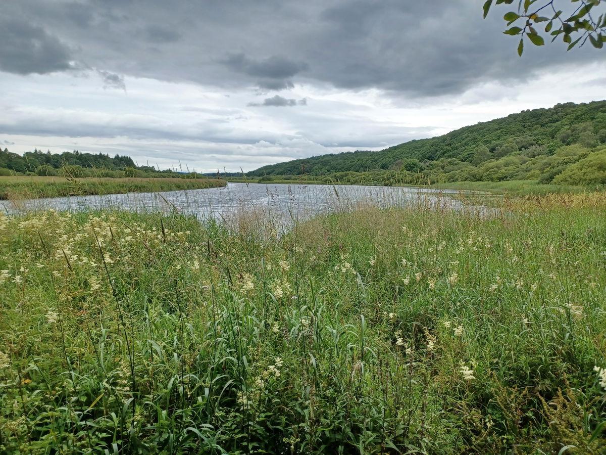 RSPB Wood of Cree In Newton Stewart - Fabulous North
