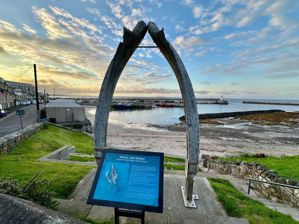 Seahouses Right Whale Jaw Bones In Seahouses - Fabulous North