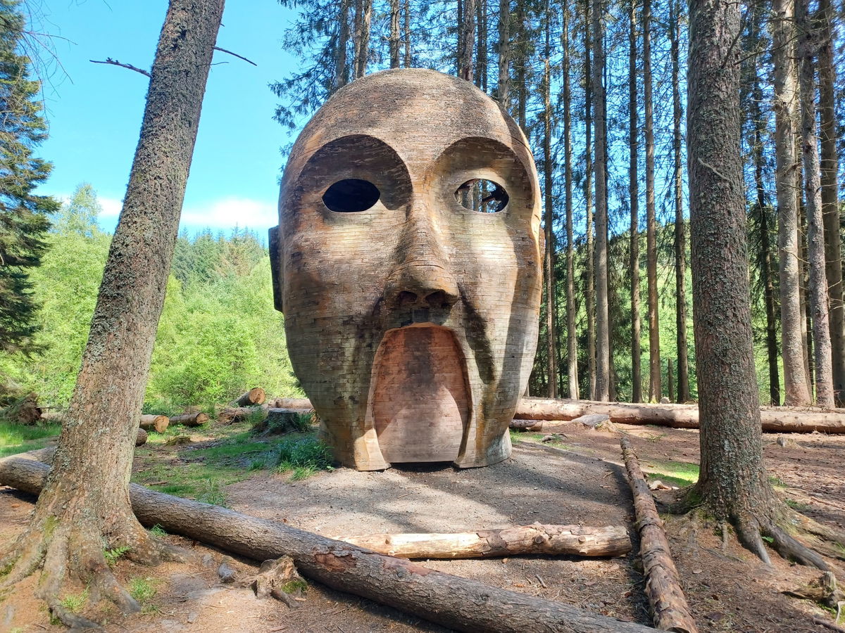 Silvas Capitalis In Kielder - Fabulous North