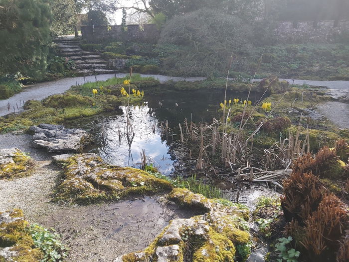 Sizergh In Kendal - Fabulous North