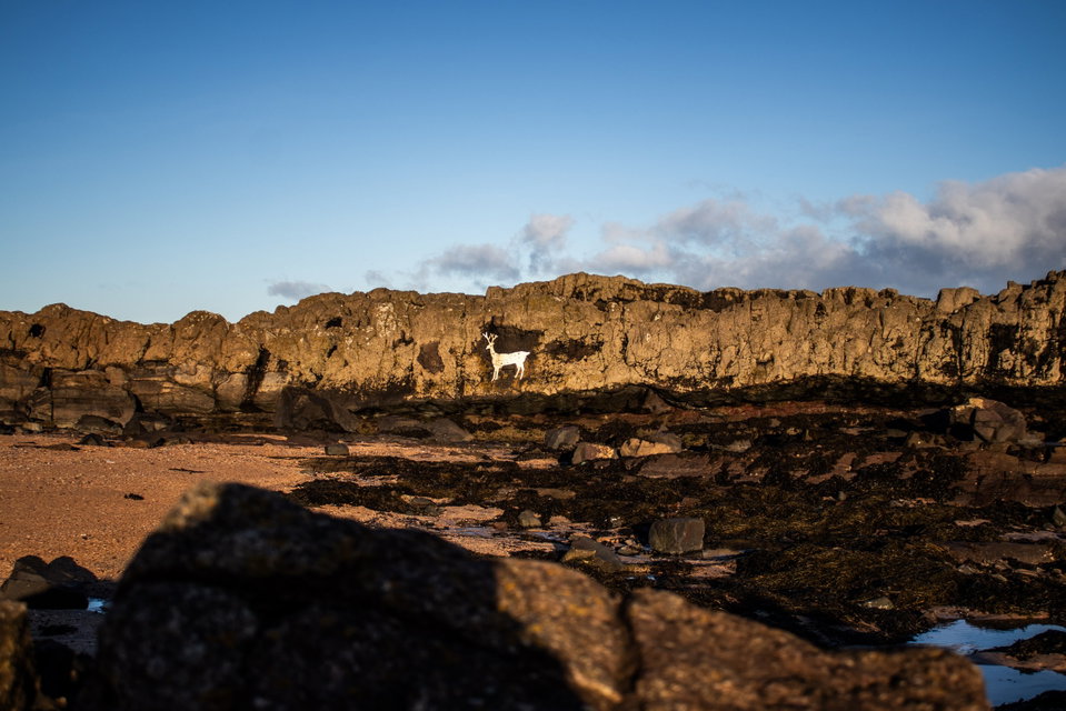 Stag Rock In Bamburgh - Fabulous North