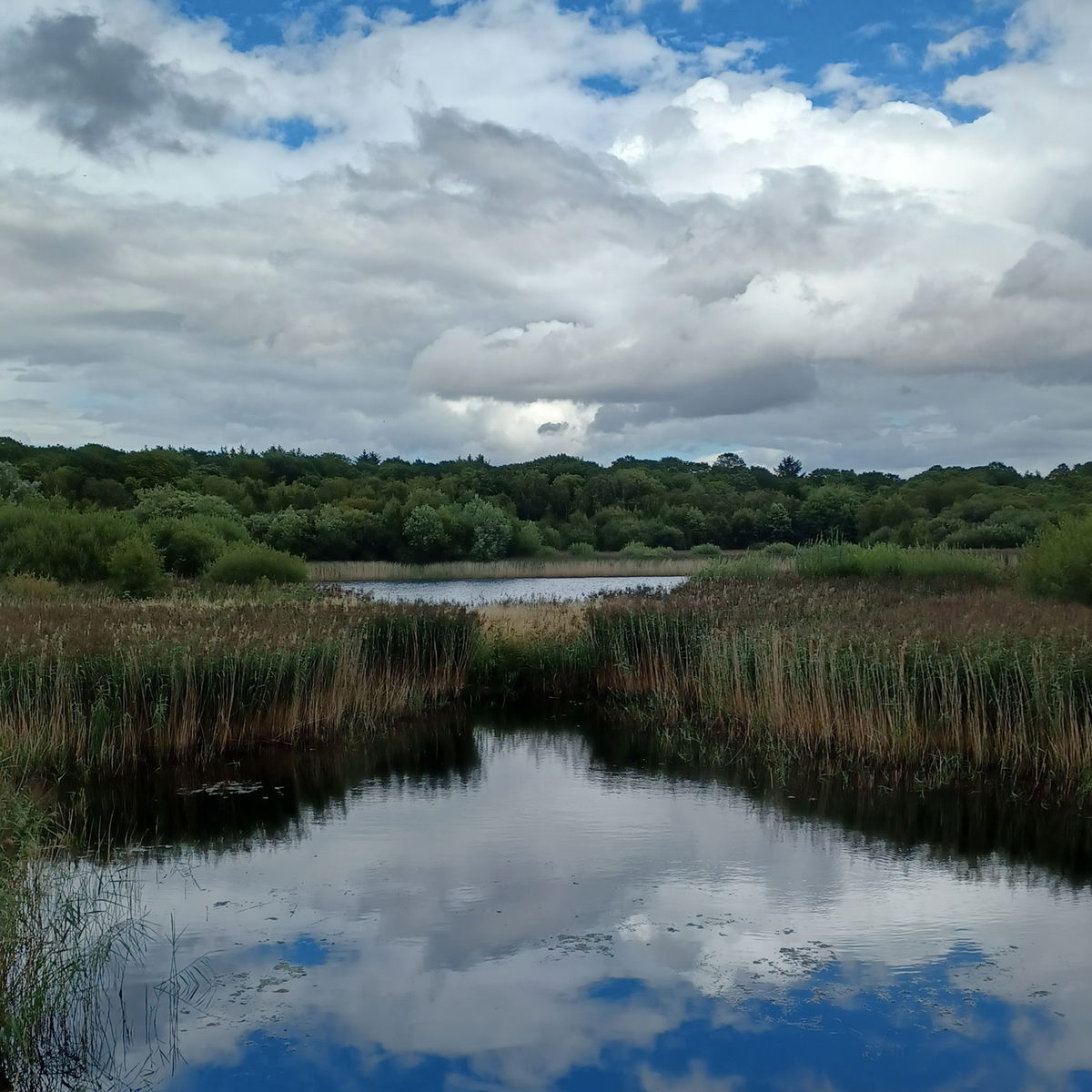 Stargate Ponds In Gateshead - Fabulous North