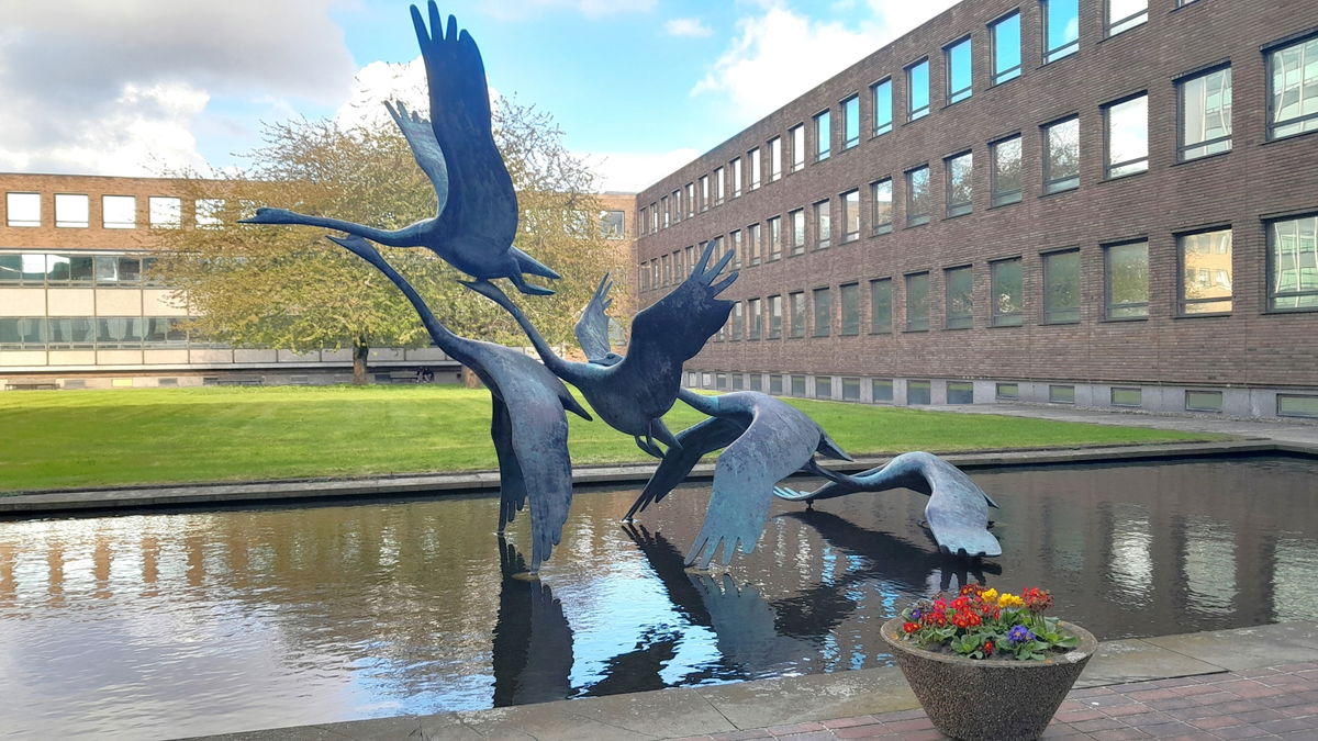 Swans In Flight In Newcastle Civic Centre - Fabulous North