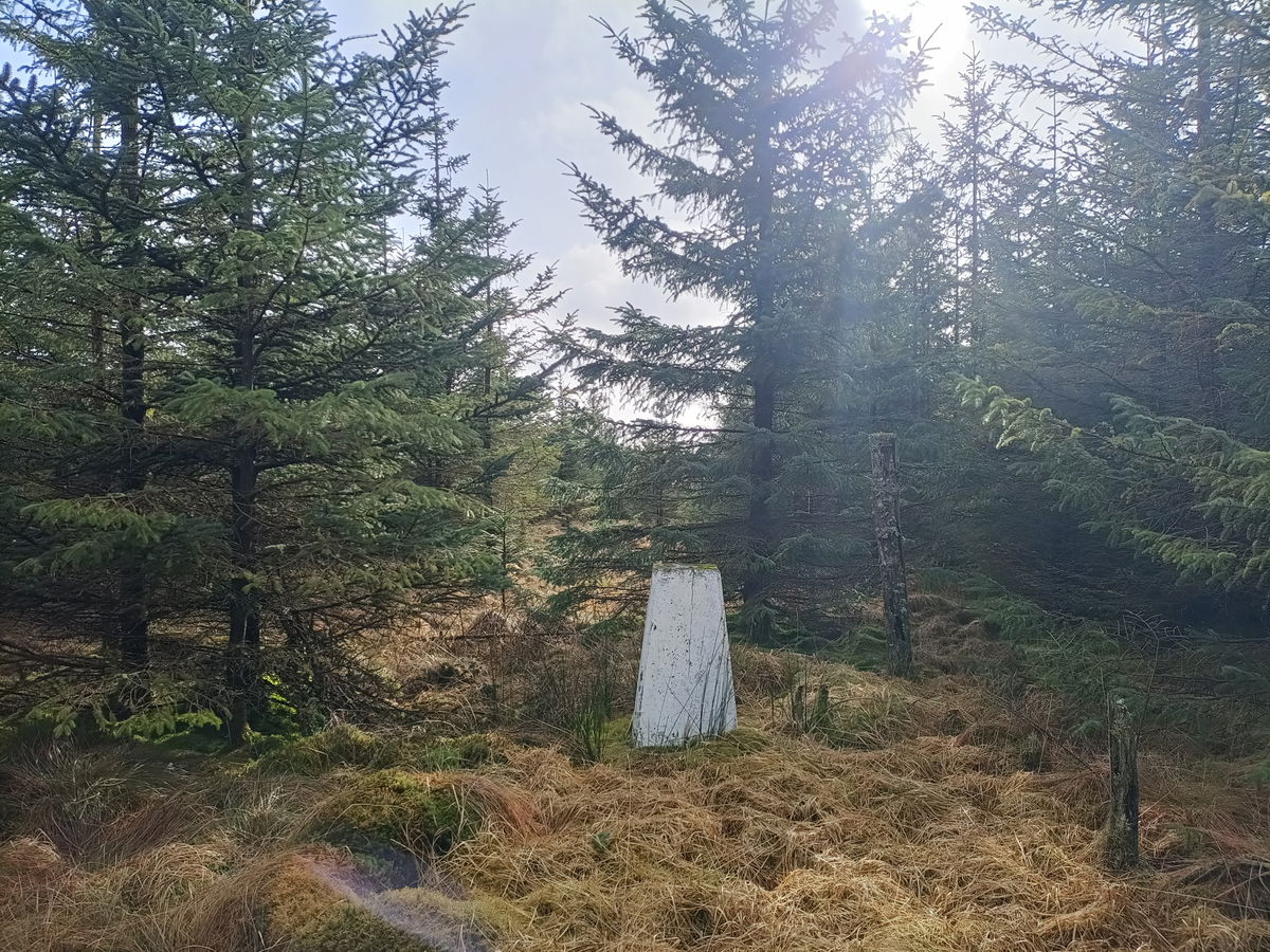 The Dodd Trig Point In Kielder - Fabulous North