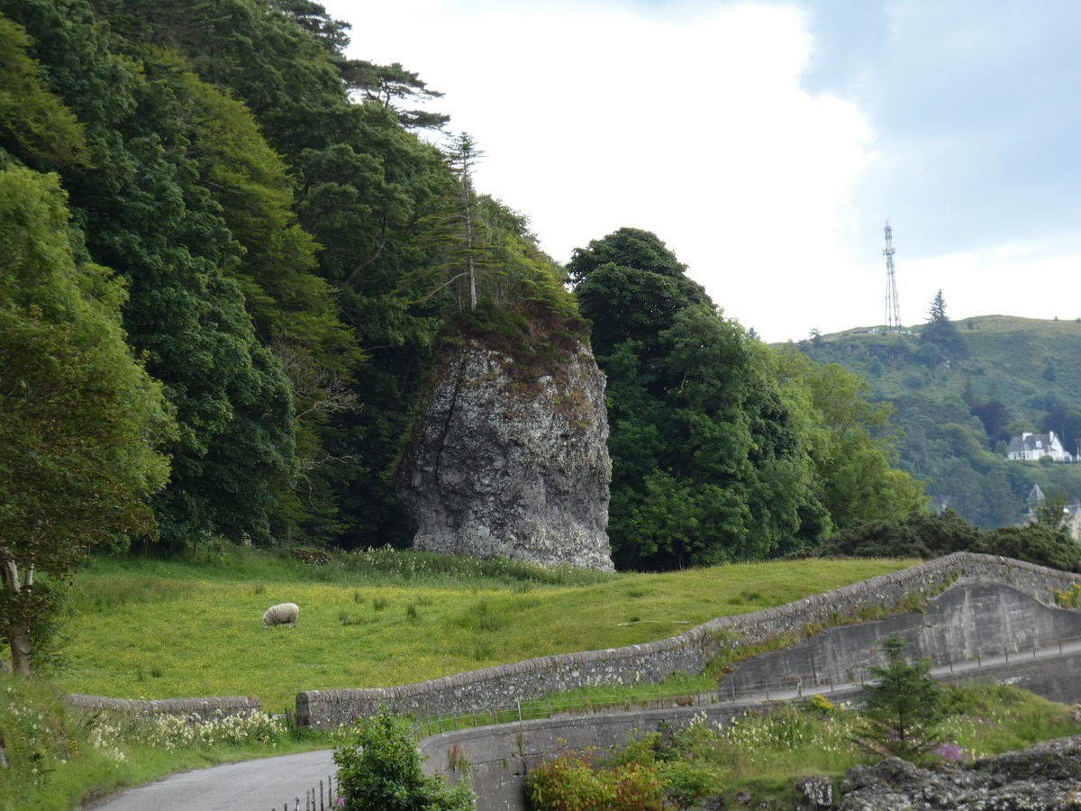 The Dog Stone In Oban - Fabulous North