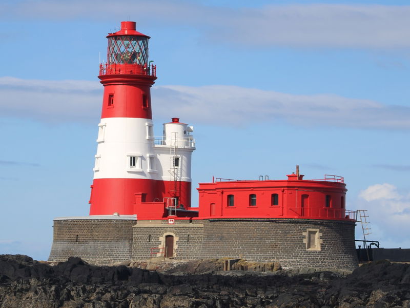The Farne Islands in Seahouses - Fabulous North