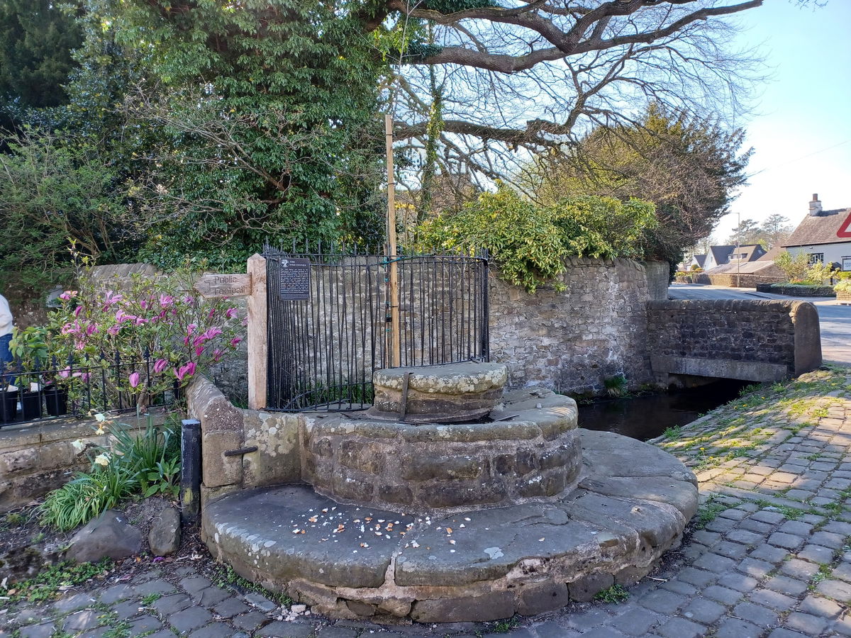 The Fish Stones In Lancaster - Fabulous North