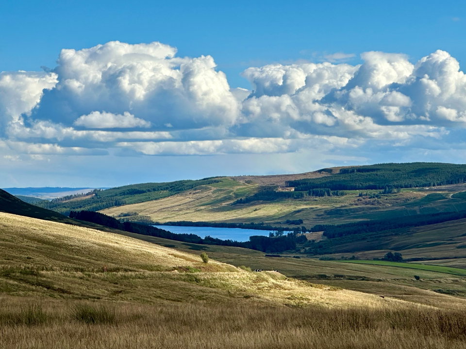 Redesdale Goat In Catcleugh - Fabulous North