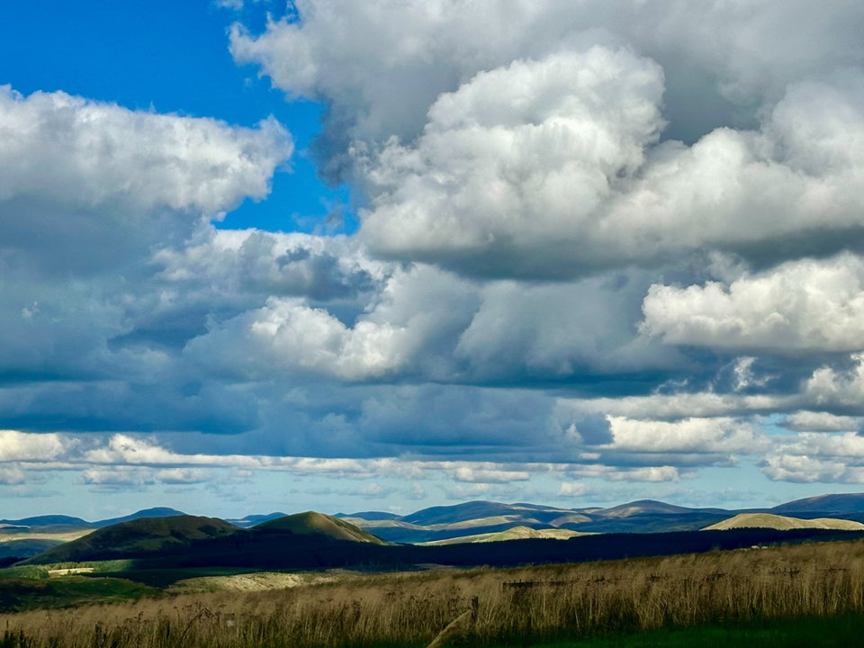 Redesdale Goat In Catcleugh - Fabulous North