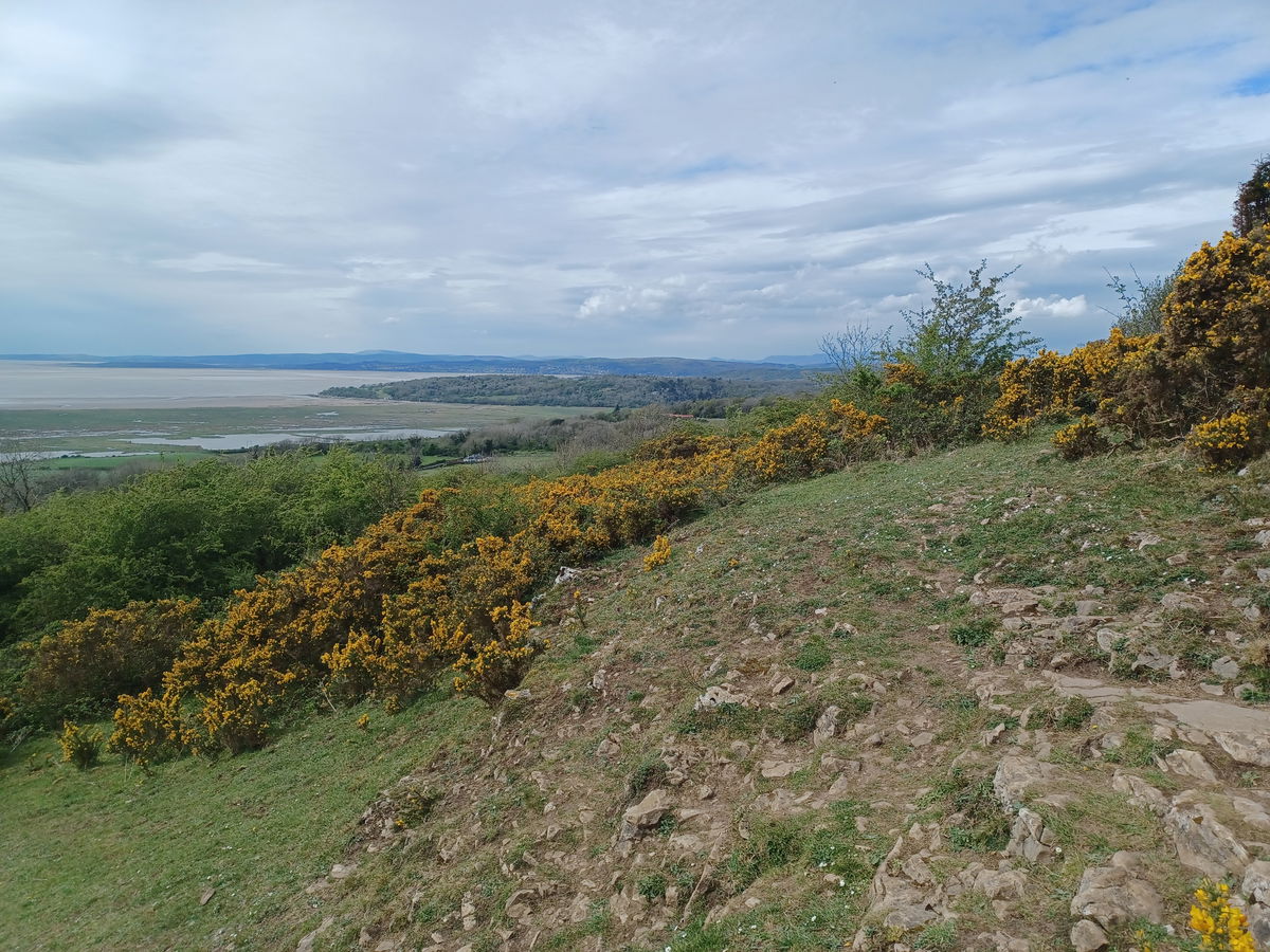 Warton Crag Nature Reserve In Lancaster - Fabulous North