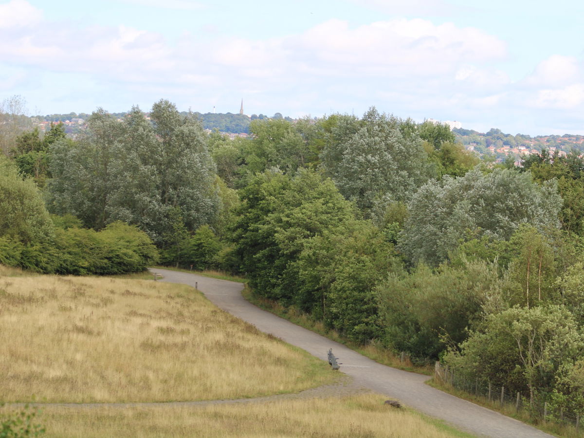 Watergate Forest Park in Gateshead - Fabulous North