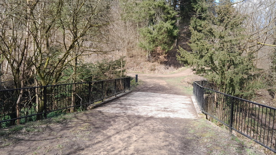 Walk In Castle Eden Dene (West Side ) Near Peterlee