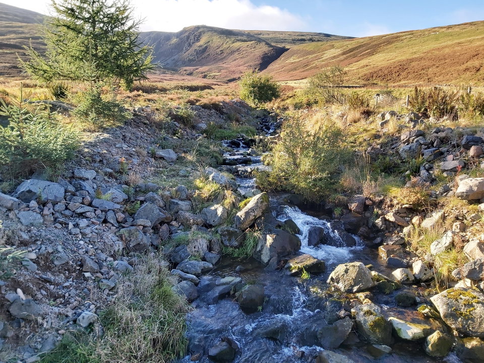 Walk To Bizzle Crags And 3 Aircraft Crash Sites In The Cheviots