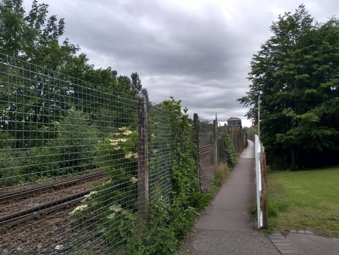 Walk To Kinnoull Hill In Perth