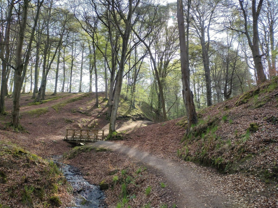 Scone Circular In Perth