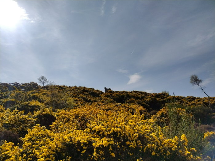 Scone Circular In Perth