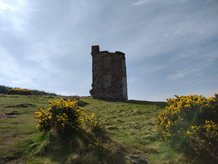 Scone Circular In Perth