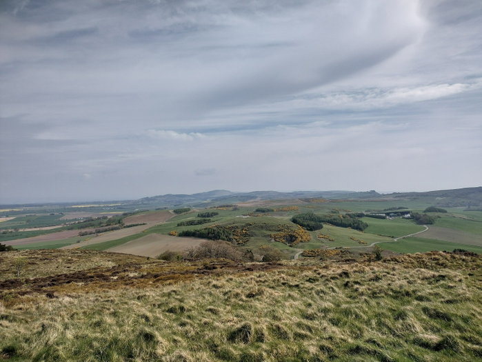 Scone Circular In Perth