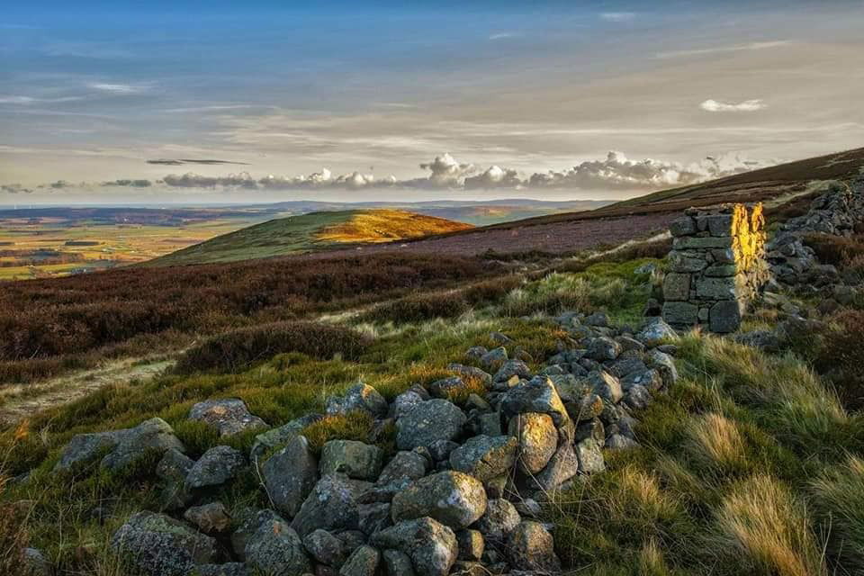 Walk Up Yeavering Bell Walk In The Cheviots - Fabulous North