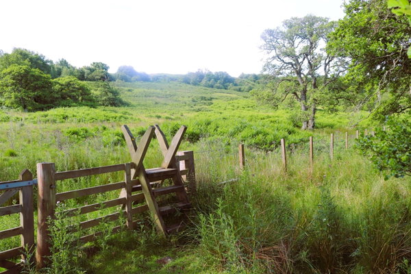 Walk To Darden Lough In Elsdon - Fabulous North