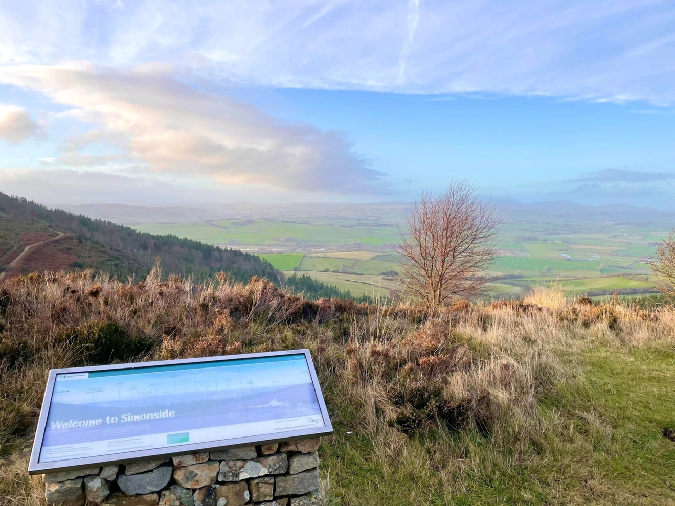 Walk To Tosson Hill In The Simonside Hills Rothbury - Fabulous North