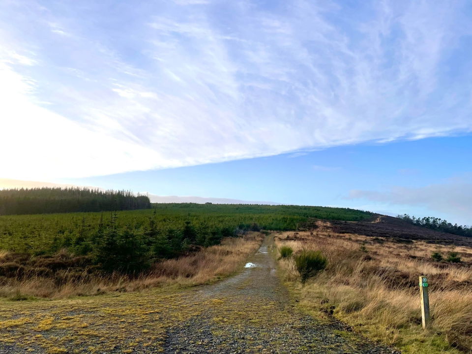Walk To Tosson Hill In The Simonside Hills Rothbury - Fabulous North