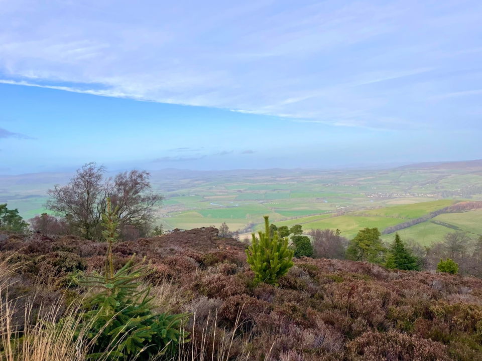 Walk To Tosson Hill In The Simonside Hills Rothbury - Fabulous North