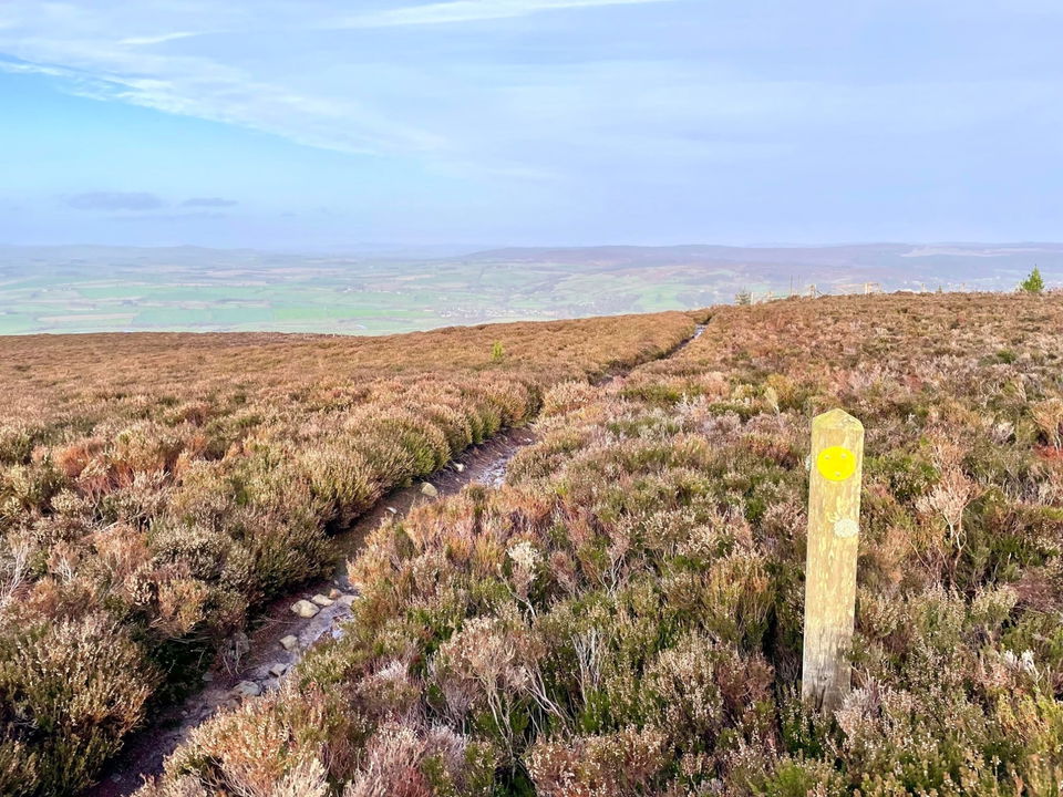Walk To Tosson Hill In The Simonside Hills Rothbury - Fabulous North