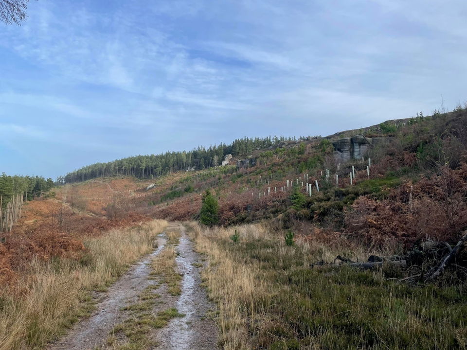 Walk To Tosson Hill In The Simonside Hills Rothbury - Fabulous North