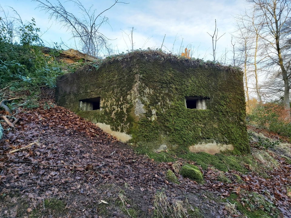 Walk To Bewick Moor, Cateran Hole, Ros Castle And Blawearie In ...