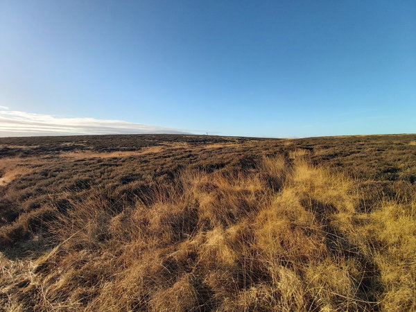Walk To Bewick Moor, Cateran Hole, Ros Castle And Blawearie In ...