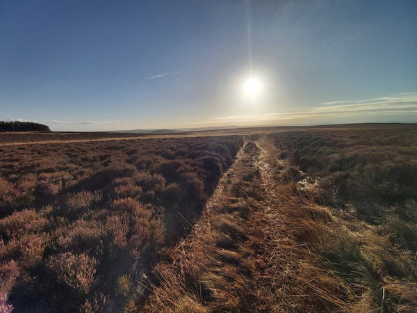 Walk To Bewick Moor, Cateran Hole, Ros Castle And Blawearie In ...