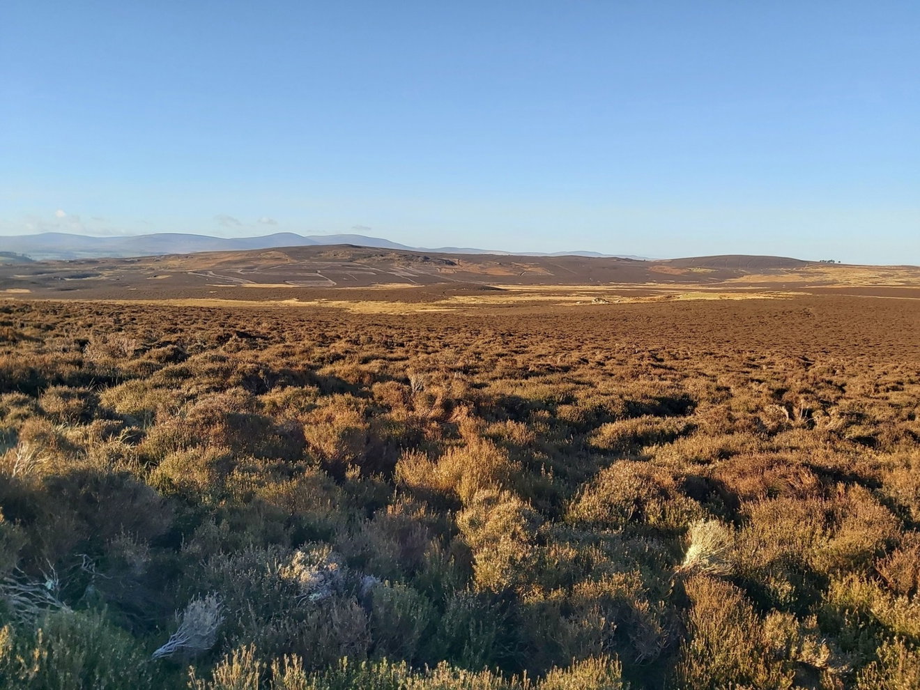Walk To Bewick Moor, Cateran Hole, Ros Castle And Blawearie In ...