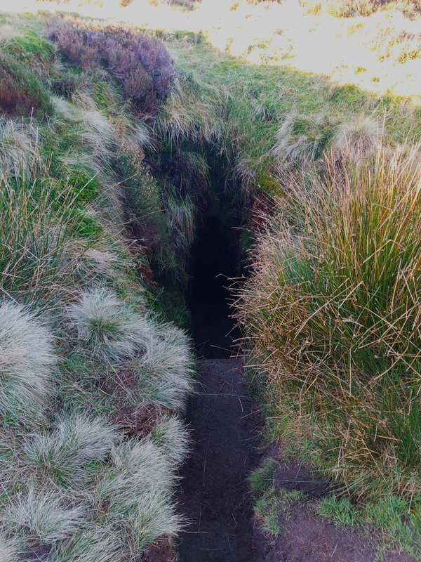 Walk To Bewick Moor, Cateran Hole, Ros Castle And Blawearie In ...