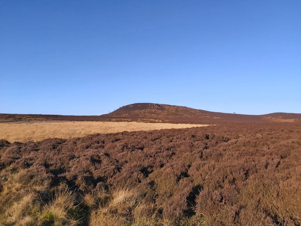 Walk To Bewick Moor, Cateran Hole, Ros Castle And Blawearie In ...