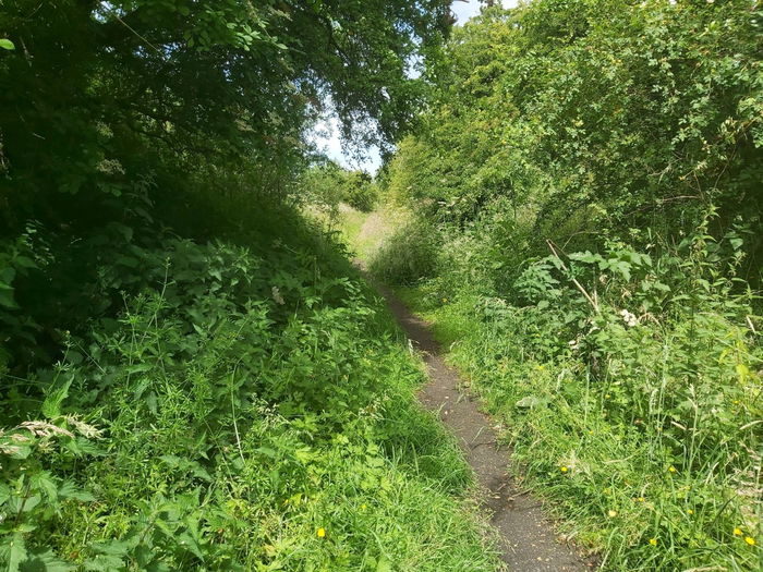 Wannie Line Walk In Morpeth - Fabulous North