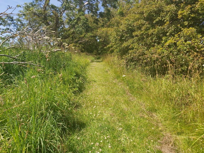 Wannie Line Walk In Morpeth - Fabulous North