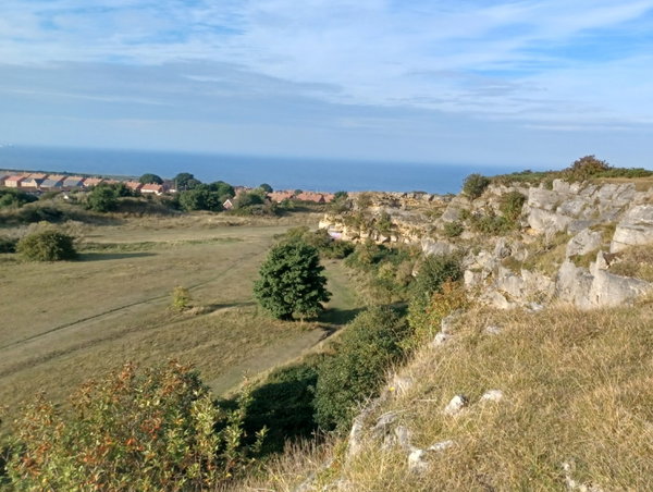 Walk Around Marsden Quarry Nature Reserve and Cleadon Hills In South ...