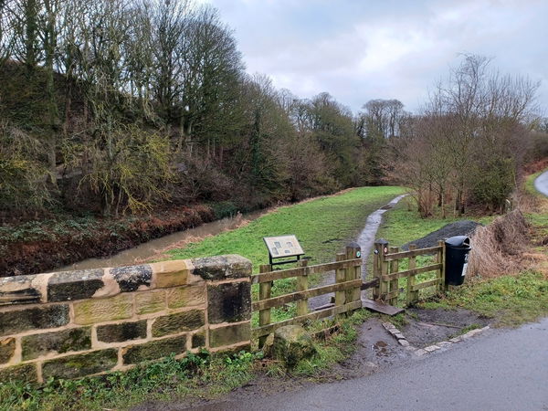 Walk Around Seaton Sluice And Holywell Dene - Fabulous North