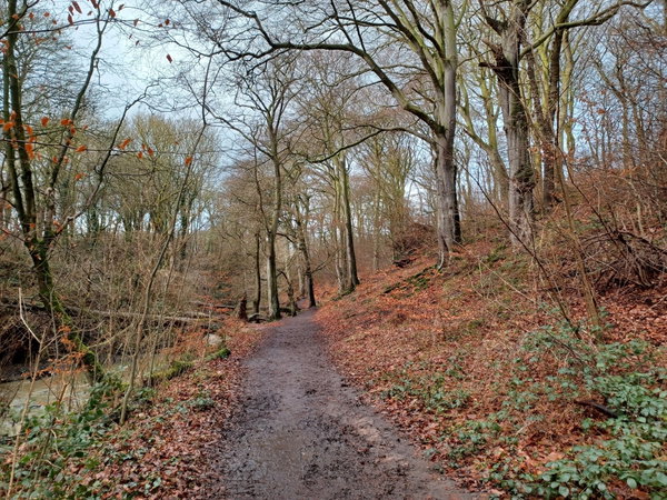 Walk Around Seaton Sluice And Holywell Dene - Fabulous North