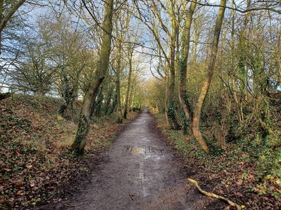 Walk Around Seaton Sluice And Holywell Dene - Fabulous North