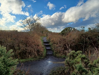 Walk Around Seaton Sluice And Holywell Dene - Fabulous North