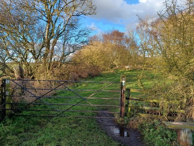 Walk Around Seaton Sluice And Holywell Dene - Fabulous North