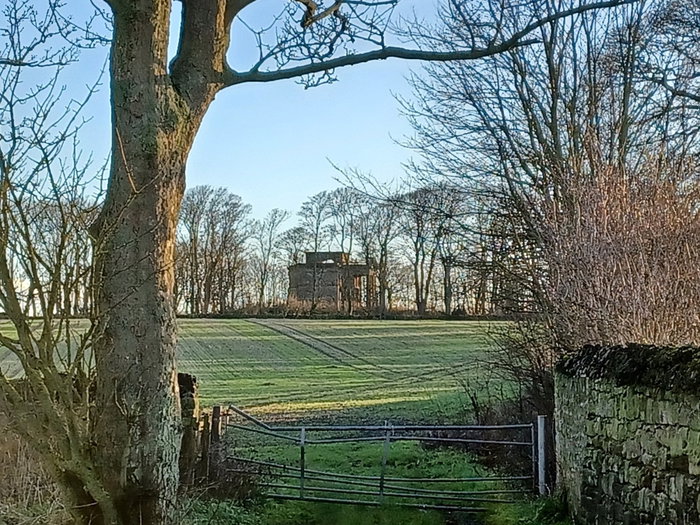 Walk Around Seaton Sluice And Holywell Dene - Fabulous North