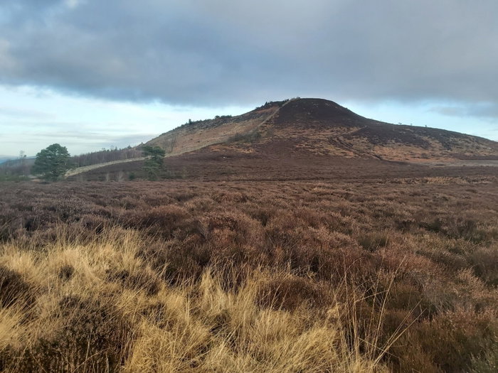 A Walk Over Hepburn Moor Then Up Ros Castle In Chillingham - Fabulous North
