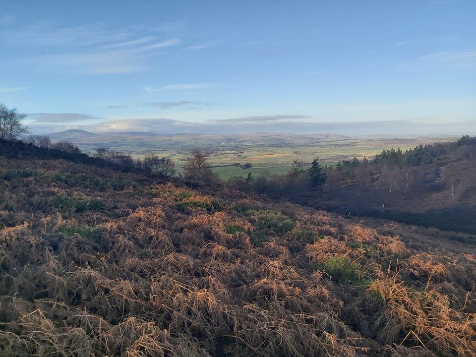A Walk Over Hepburn Moor Then Up Ros Castle In Chillingham - Fabulous North