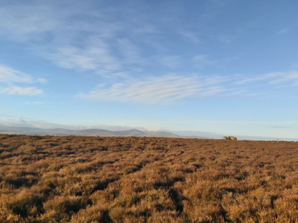 A Walk Over Hepburn Moor Then Up Ros Castle In Chillingham - Fabulous North