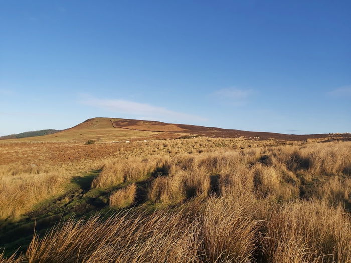 A Walk Over Hepburn Moor Then Up Ros Castle In Chillingham - Fabulous North